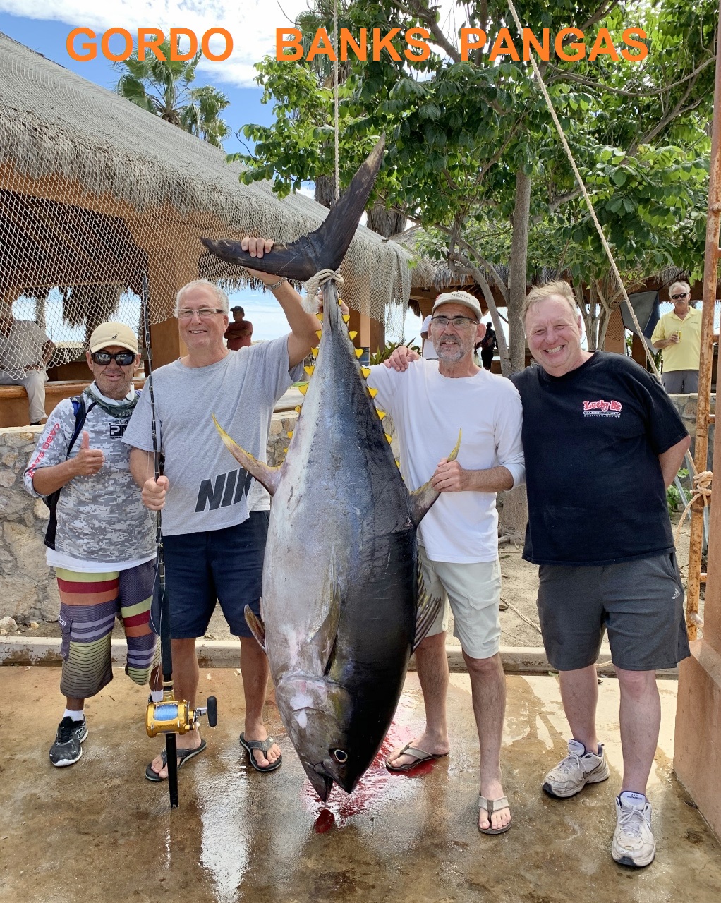 Conditions Slow to Rebound, Dorado Bite, Cow Tuna Show ~ November 23 ...