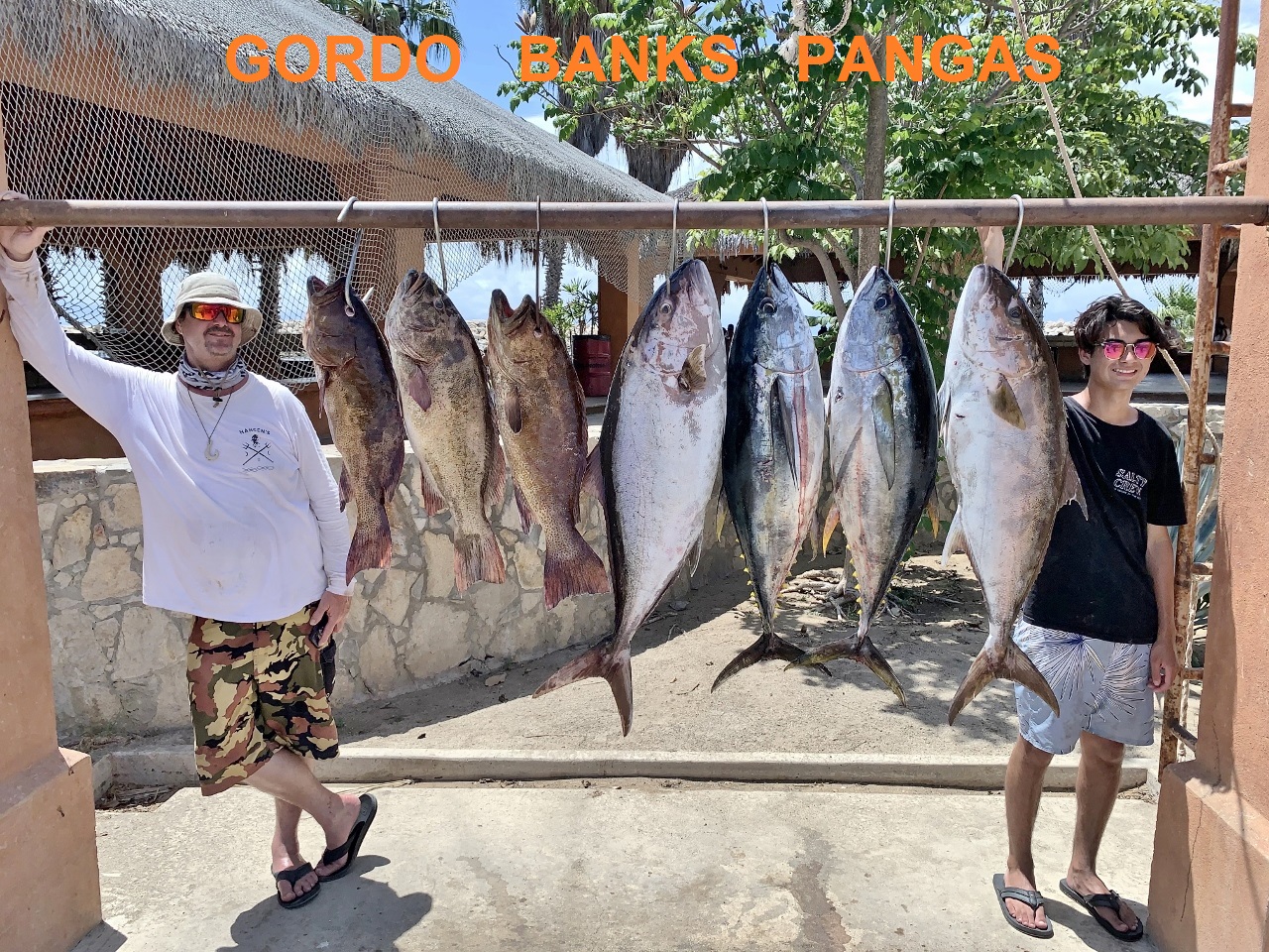 Tuna, Amberjack, Grouper in Tropical Conditions ~ August 16, 2020 ...
